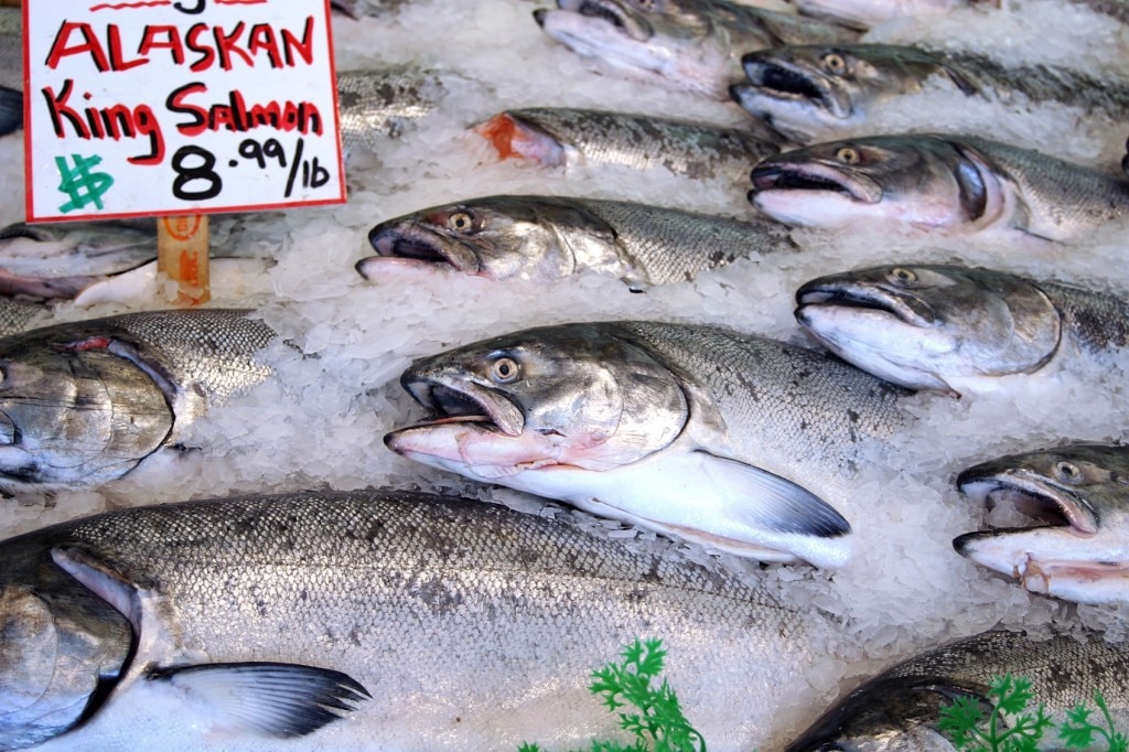 Fish and Mercury: What You Need to Know