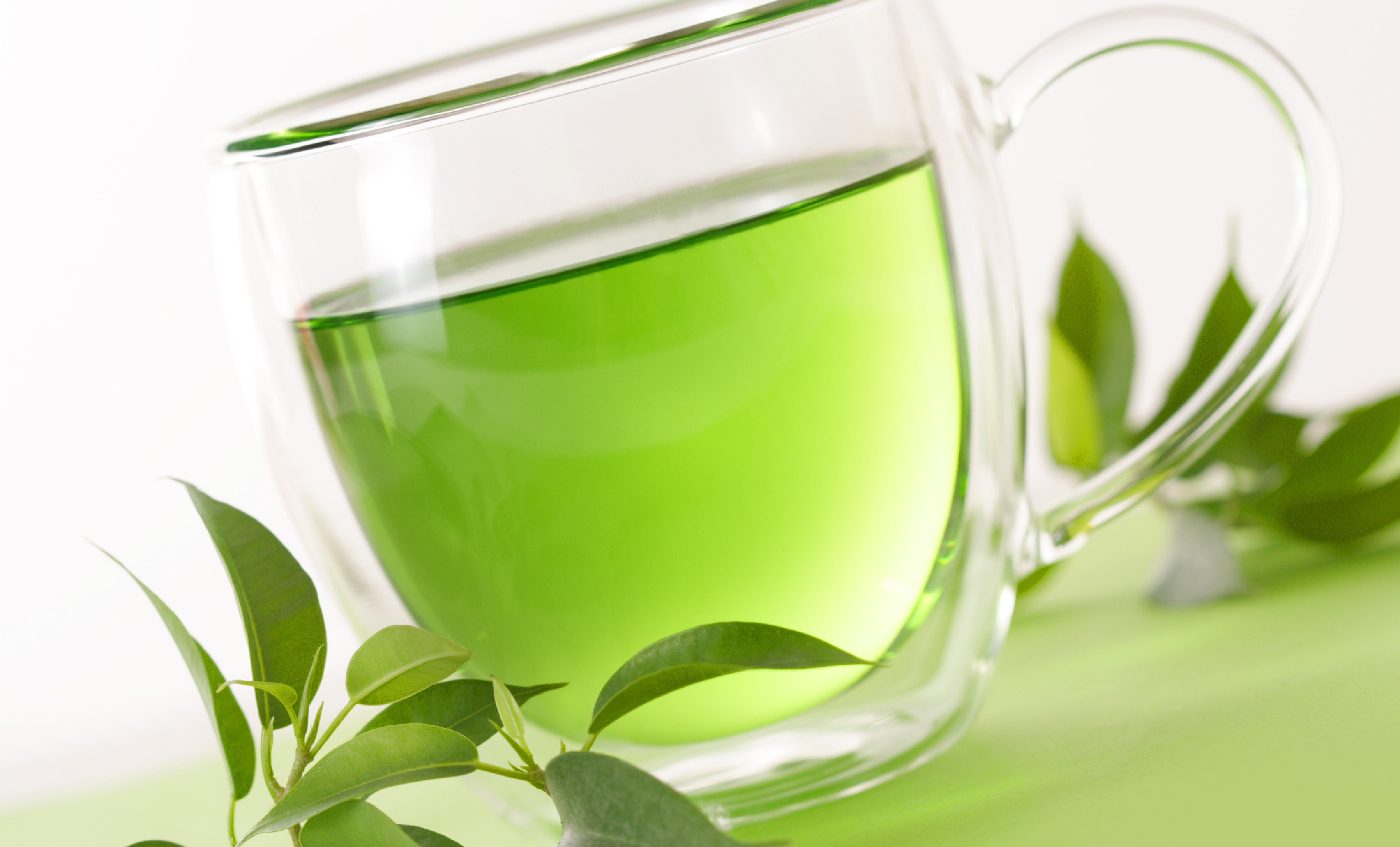 Top 7 Picks for Tastiest Green Teas