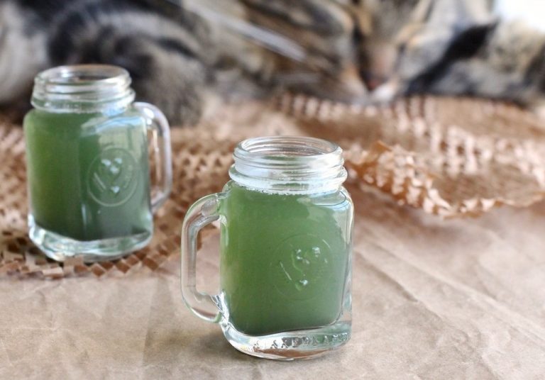 St. Patrick’s Day: 6 Healthy Green Recipes | Vitacost.com Blog