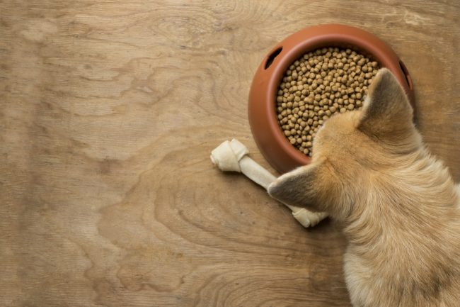 4 Ways To Food Prep For Your Pet 4-ways-to-food-prep-for-your-pet