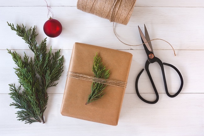 18+ Green Gift Ideas for the Eco-Warrior (or Anyone!) on Your List