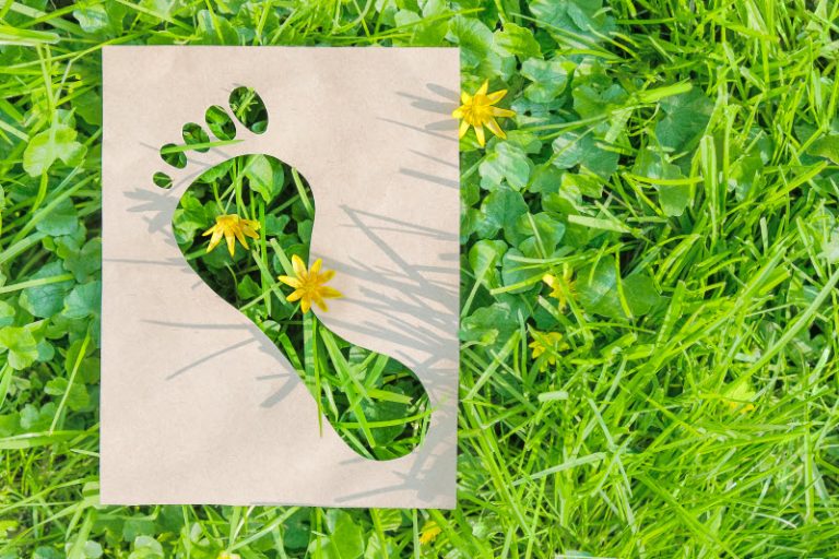 Your Plastic Footprint: How to Calculate + Tips to Reduce | Vitacost Blog