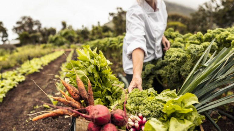 Sustainable Agriculture: The Future of Farming | Vitacost Blog