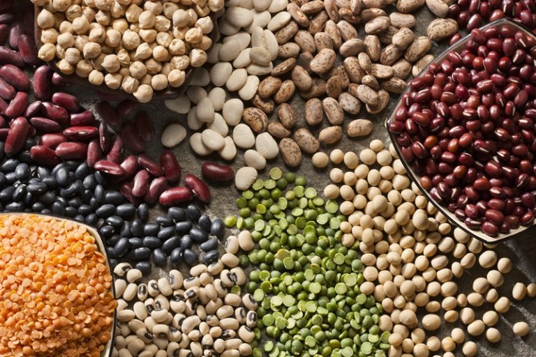 What Are Legumes? A Guide to This Plant-Based Powerhouse